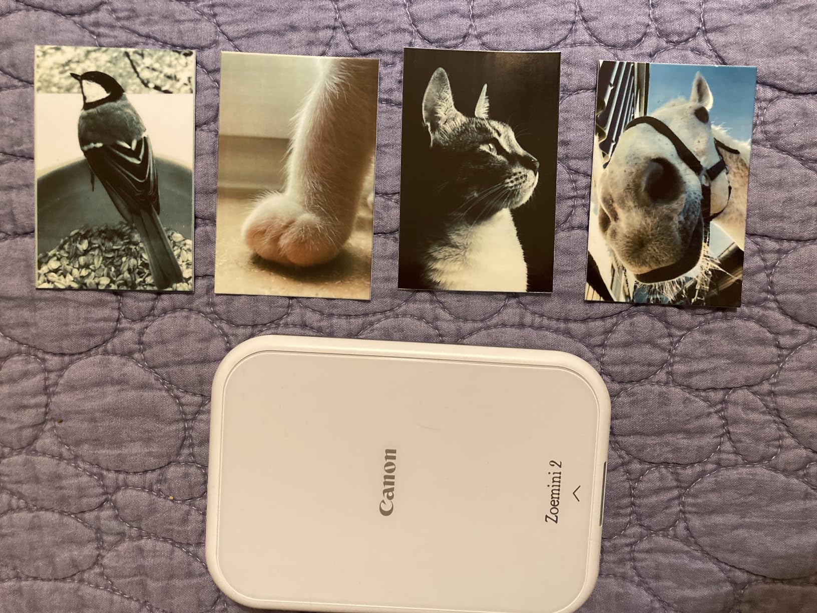 Zoemini 2 | Captura el Ahora: Tu Impresora Fotográfica Personalizada